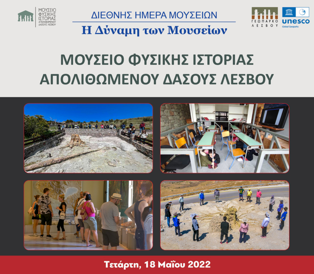 Διεθνής Ημέρα Μουσείων στο Μουσείο Φυσικής Ιστορίας Απολιθωμένου Δάσους ...