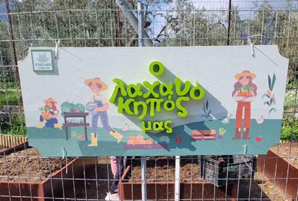Ο Λαχανόκηπος στο Δημοτικό Σχολείο Βαρειάς - Lesvospen
