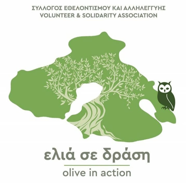 Χριστουγεννιάτικα πακέτα αγάπης από την “ΕΛΙΑ ΣΕ ΔΡΑΣΗ” σε συμπολίτες ...