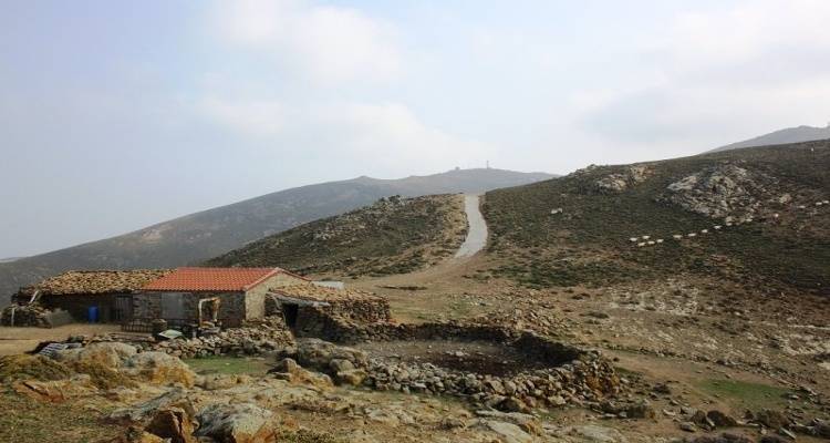 «Αδελφότης ο Καλός Σαμαρείτης»: Εκμίσθωση βοσκοτόπου στην θέση ...